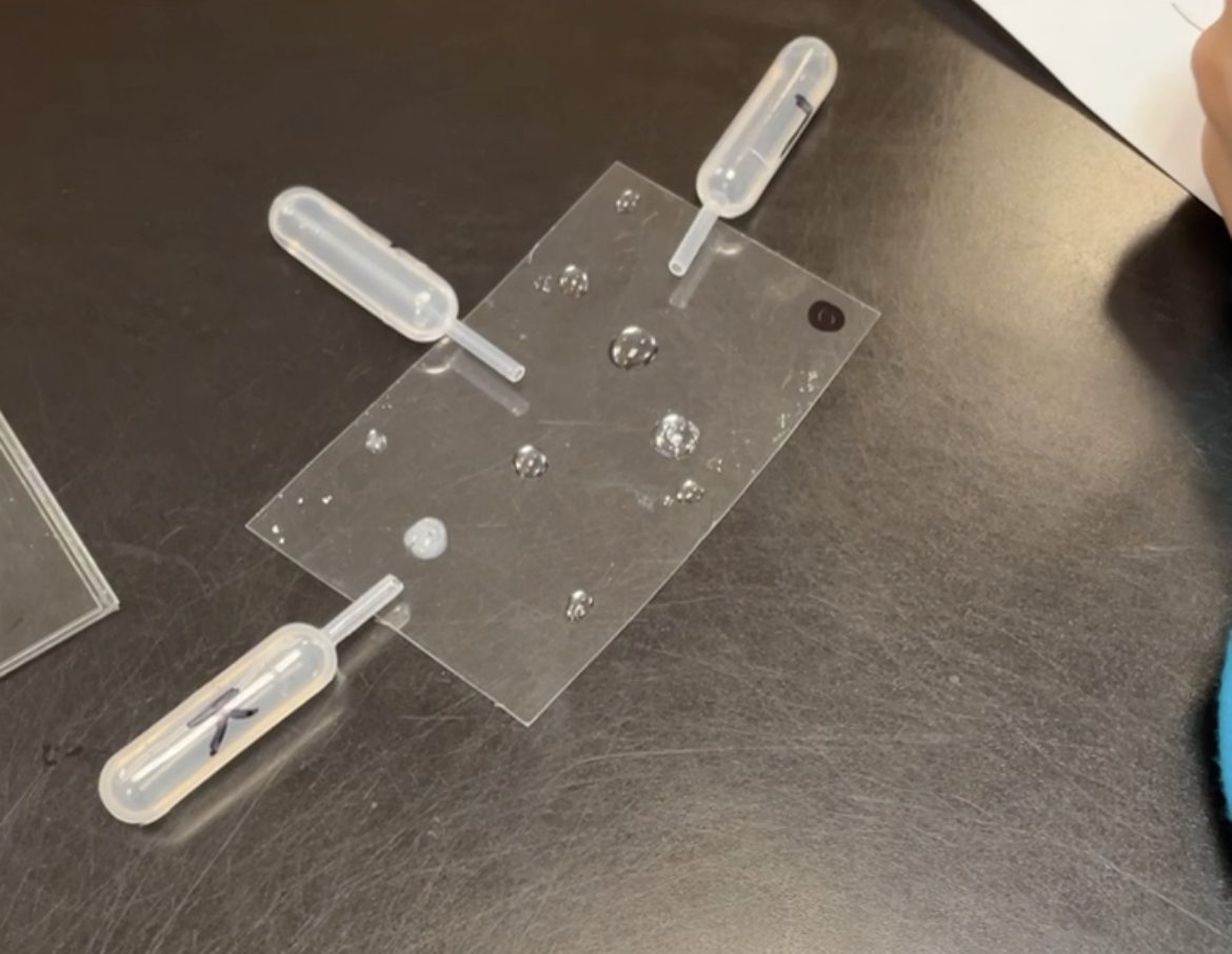 A Fun Mystery Puzzle to Add to Your Physical Science Class! ⋆ Sunrise ...