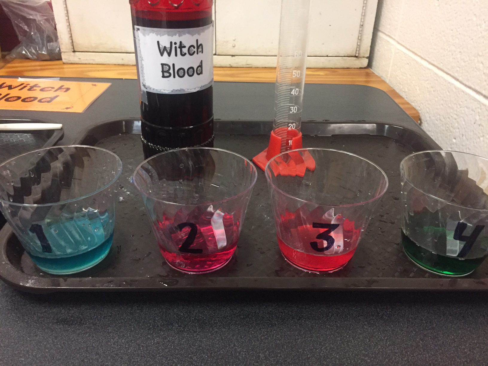 Students Become Wizards in this Potions Science Lab! ⋆ Sunrise Science
