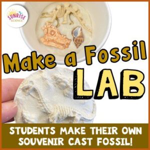 Geologic History Activities and Resources ⋆ Sunrise Science