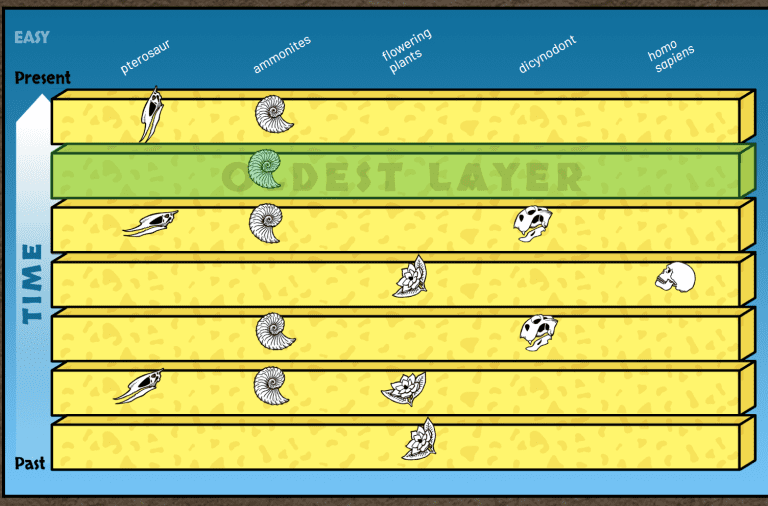 Geologic History Activities and Resources ⋆ Sunrise Science